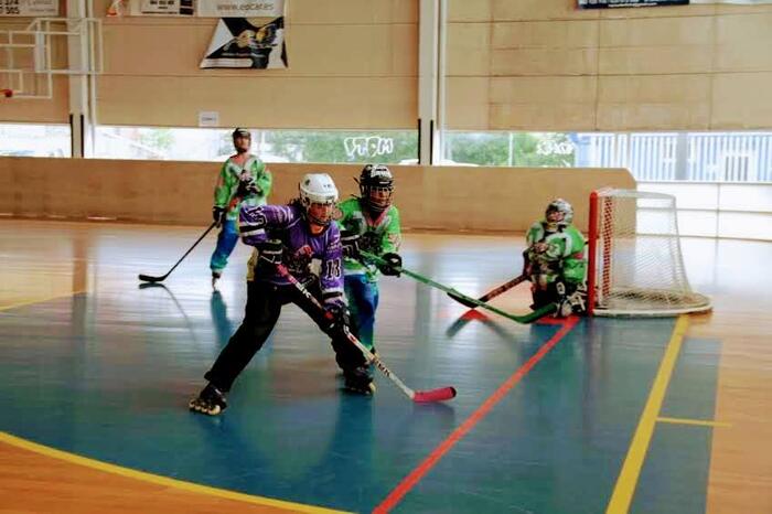 QUE ES EL HOCKEY LINEA :: knights hockey linea